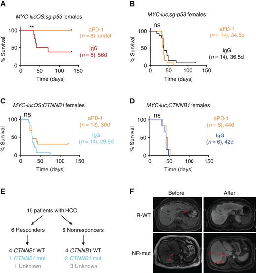 β-Catenin Activation Promotes Immune Escape and Resistance to Anti–PD-1 ...