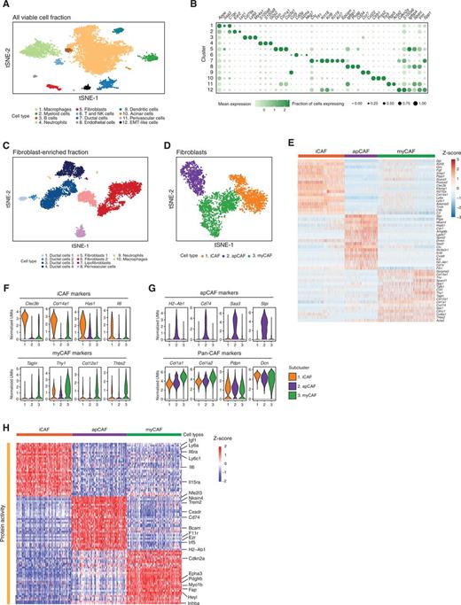 Cross-Species Single-Cell Analysis of Pancreatic Ductal Adenocarcinoma ...