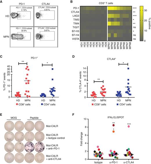 Immune Checkpoint Blockade Enhances Shared Neoantigen-Induced T-cell ...