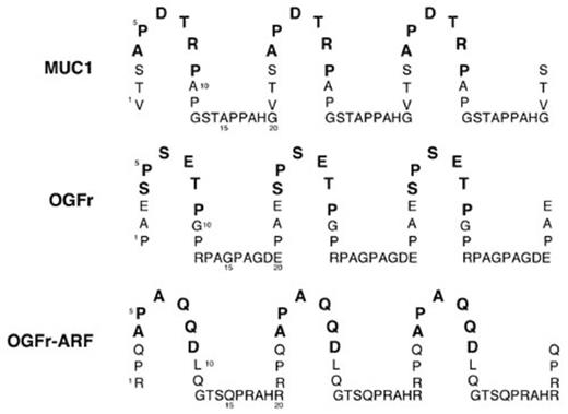 MUC1-like tandem repeat proteins are broadly immunogenic in cancer ...