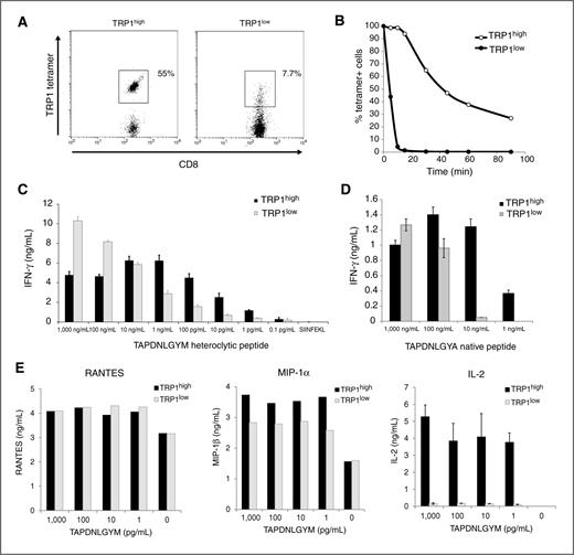 Transnuclear TRP1-Specific CD8 T Cells with High or Low Affinity TCRs ...