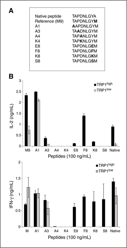 Transnuclear TRP1-Specific CD8 T Cells with High or Low Affinity TCRs ...