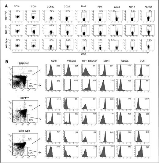 Transnuclear TRP1-Specific CD8 T Cells with High or Low Affinity TCRs ...