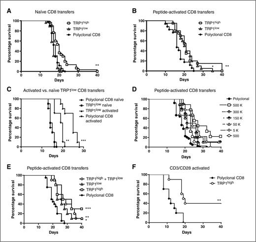 Transnuclear TRP1-Specific CD8 T Cells with High or Low Affinity TCRs ...