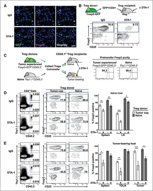 GITR Pathway Activation Abrogates Tumor Immune Suppression through Loss ...
