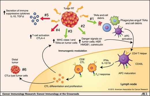 Harnessing the Potential of Radiation-Induced Immune Modulation for ...