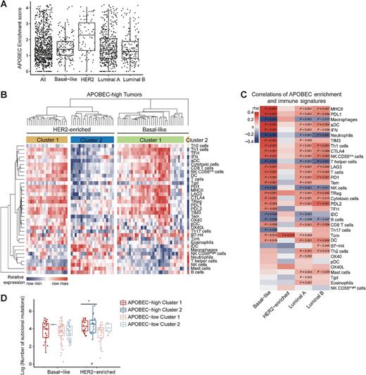 APOBEC Mutagenesis Inhibits Breast Cancer Growth through Induction of T ...