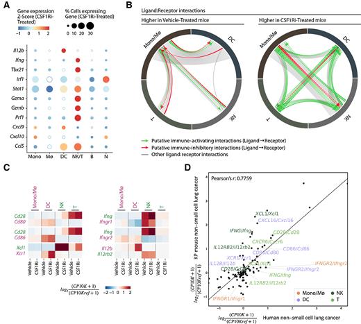 Macrophage-Targeted Therapy Unlocks Antitumoral Cross-talk between IFNγ ...
