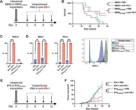 BCG-Induced Tumor Immunity Requires Tumor-Intrinsic CIITA Independent of MHC-II | Cancer ...