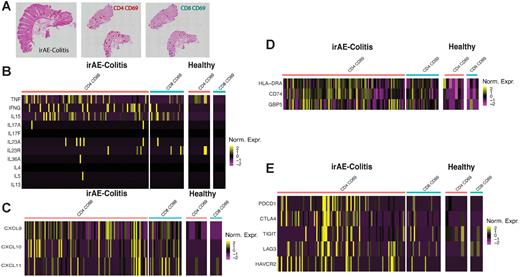 Checkpoint Blockade–Induced Dermatitis and Colitis Are Dominated by ...