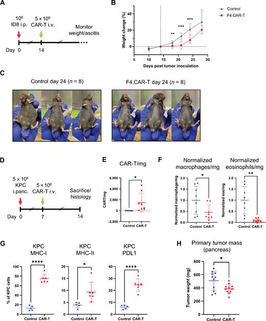 Targeting Macrophages with CAR T Cells Delays Solid Tumor Progression ...