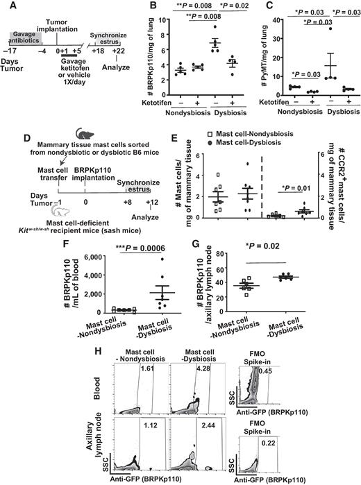 Reciprocal Interactions Between the Gut Microbiome and Mammary Tissue ...