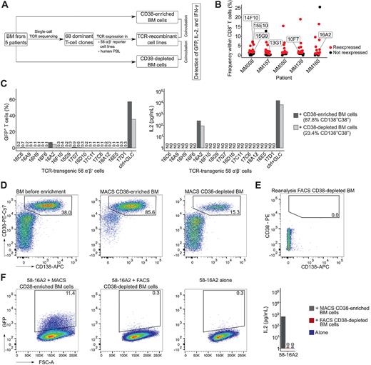 Immune Phenotypes and Target Antigens of Clonally Expanded Bone Marrow ...