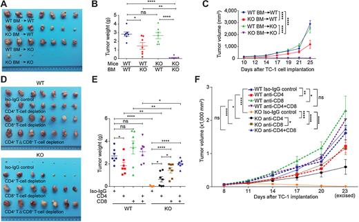 CD59-Regulated Ras Compartmentalization Orchestrates Antitumor T-cell ...