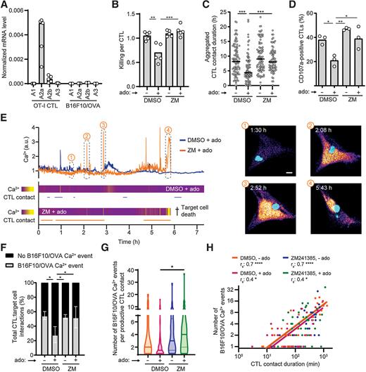 Adenosine A2a Receptor Antagonism Restores Additive Cytotoxicity by ...