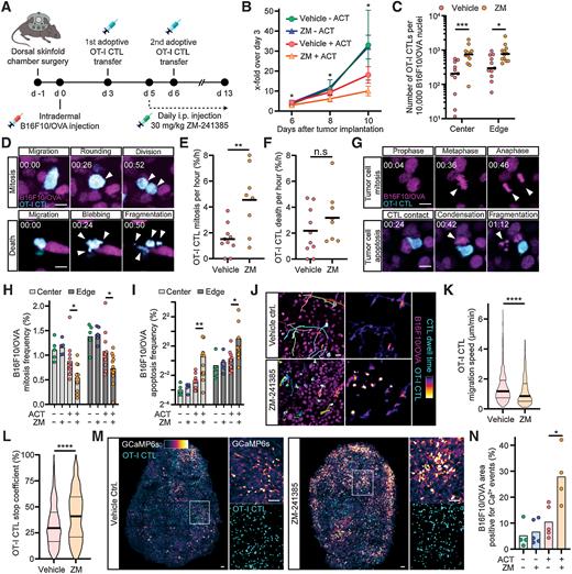 Adenosine A2a Receptor Antagonism Restores Additive Cytotoxicity by ...