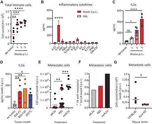 Subcapsular Sinus Macrophages Promote Melanoma Metastasis to the ...
