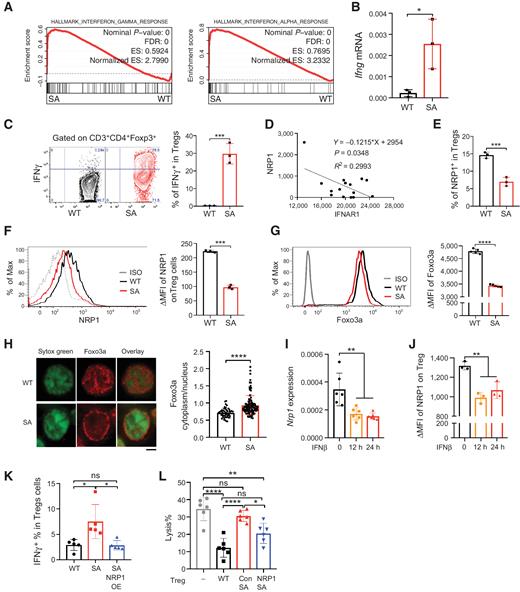 Protection of Regulatory T Cells from Fragility and Inactivation in the ...
