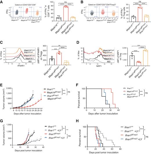 Protection of Regulatory T Cells from Fragility and Inactivation in the ...
