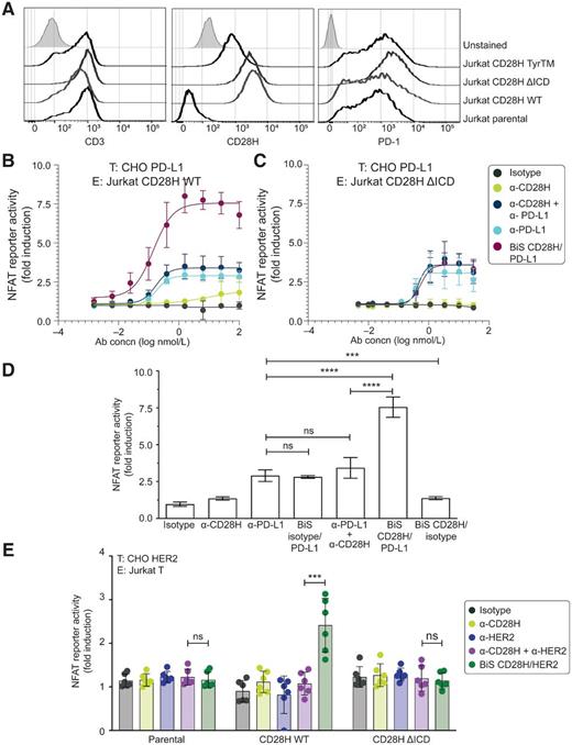 Immunomodulation of T- and NK-cell Responses by a Bispecific Antibody ...