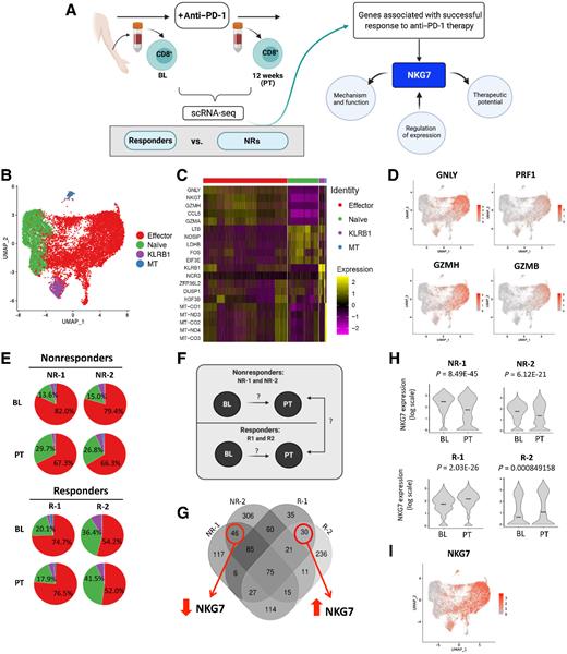 NKG7 Is a T-cell–Intrinsic Therapeutic Target for Improving Antitumor ...
