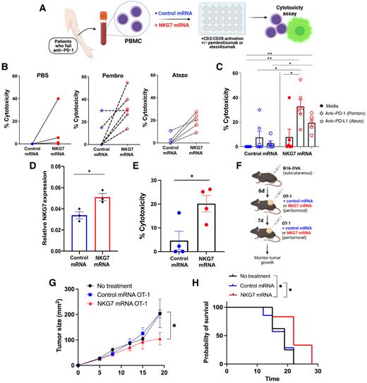 NKG7 Is a T-cell–Intrinsic Therapeutic Target for Improving Antitumor ...