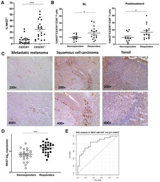 NKG7 Is a T-cell–Intrinsic Therapeutic Target for Improving Antitumor ...