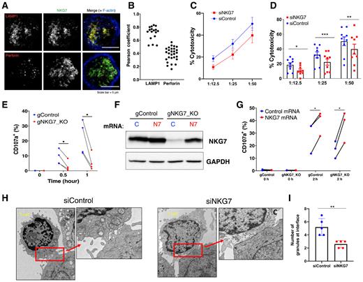 NKG7 Is a T-cell–Intrinsic Therapeutic Target for Improving Antitumor ...