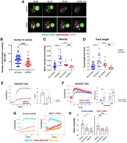 NKG7 Is a T-cell–Intrinsic Therapeutic Target for Improving Antitumor ...