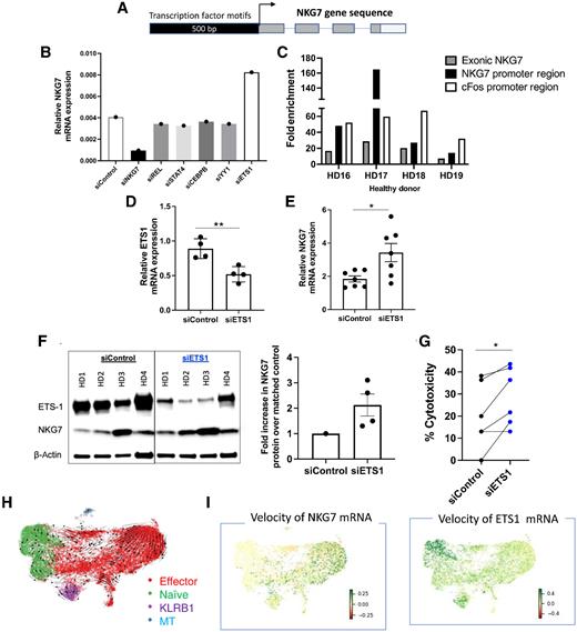 NKG7 Is a T-cell–Intrinsic Therapeutic Target for Improving Antitumor ...
