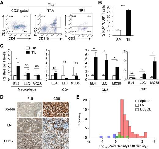 The Pellino1–PKCθ Signaling Axis Is an Essential Target for Improving ...