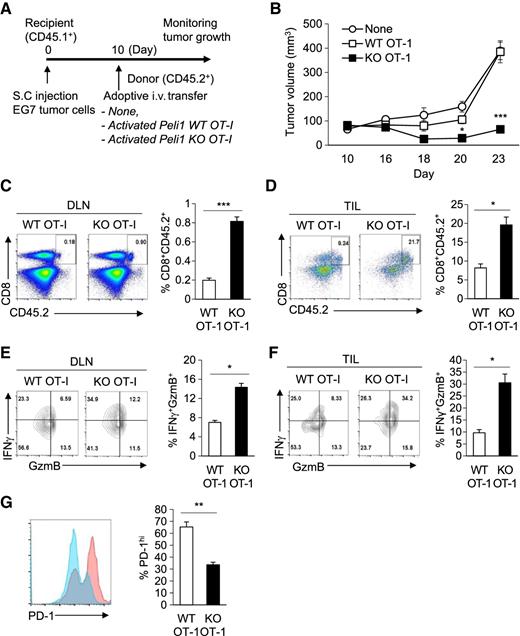 The Pellino1–PKCθ Signaling Axis Is an Essential Target for Improving ...