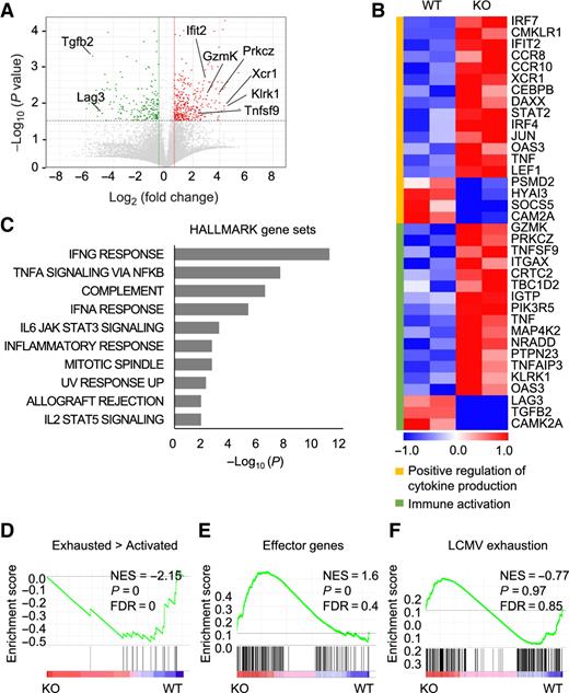 The Pellino1–PKCθ Signaling Axis Is an Essential Target for Improving ...