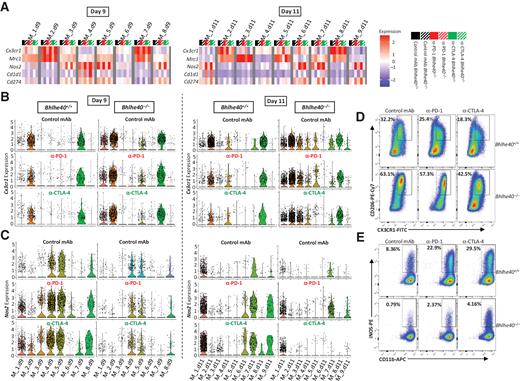 BHLHE40 Regulates the T-Cell Effector Function Required for Tumor ...