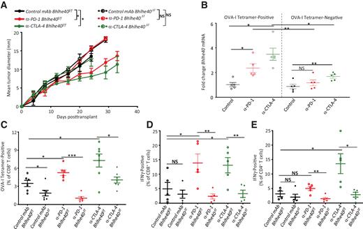 BHLHE40 Regulates the T-Cell Effector Function Required for Tumor ...
