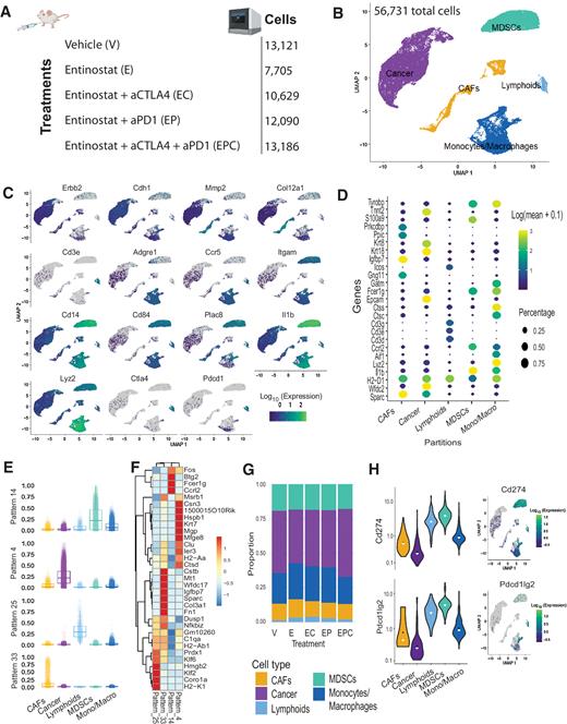 Entinostat Decreases Immune Suppression to Promote Antitumor Responses ...
