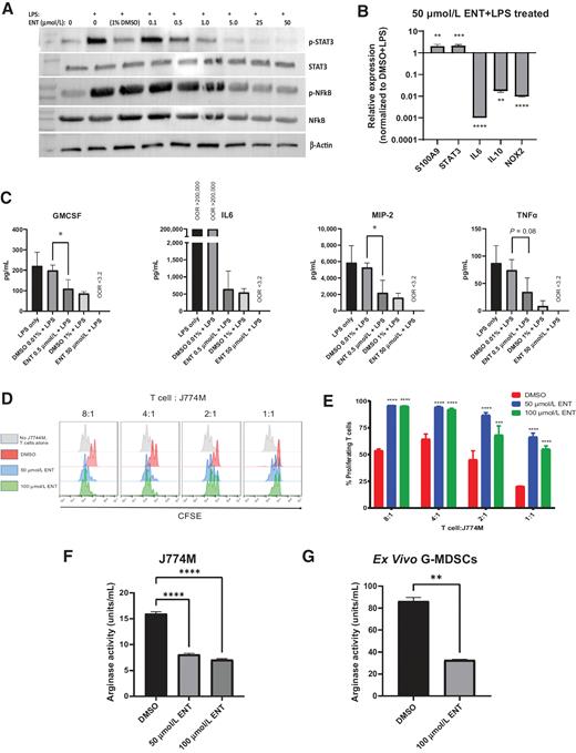 Entinostat Decreases Immune Suppression to Promote Antitumor Responses ...