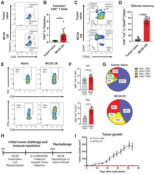 Discovery of a Conditionally Activated IL-2 that Promotes Antitumor ...