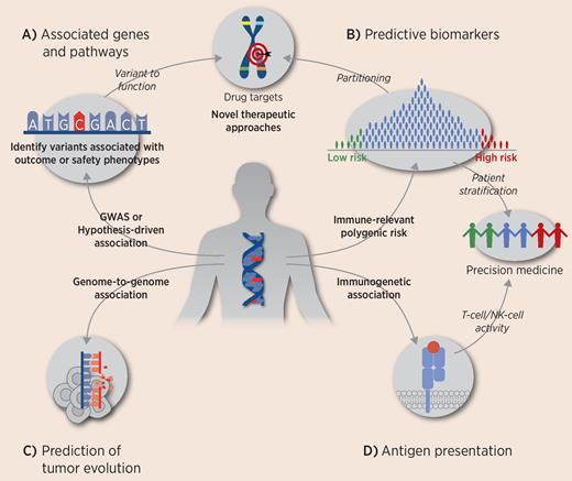 Coming of Age: Human Genomics and the Cancer–Immune Set Point | Cancer ...