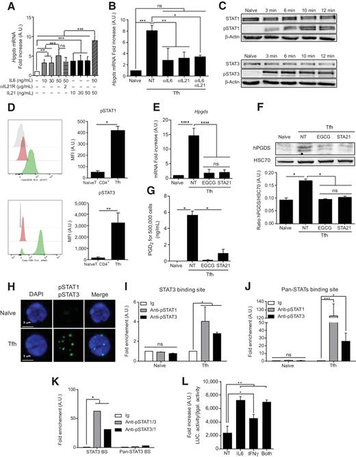 Hematopoietic Prostaglandin D2 Synthase Controls Tfh/Th2 Communication ...