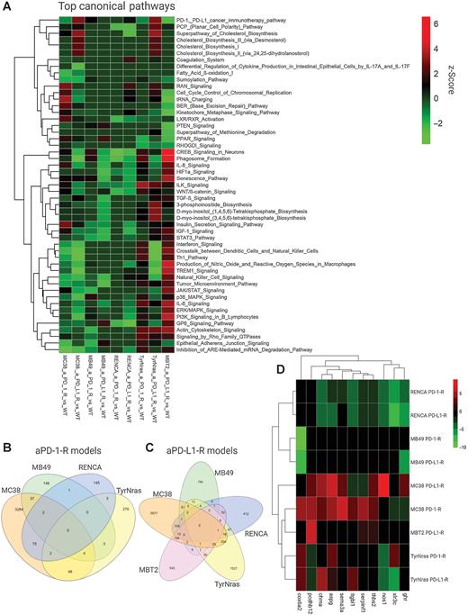 In Vivo Syngeneic Tumor Models with Acquired Resistance to Anti–PD-1/PD ...