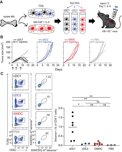 cDC1 Vaccines Drive Tumor Rejection by Direct Presentation ...