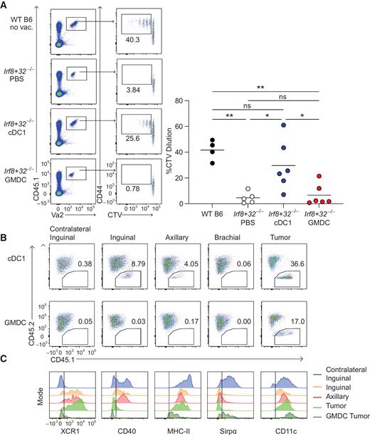 cDC1 Vaccines Drive Tumor Rejection by Direct Presentation ...