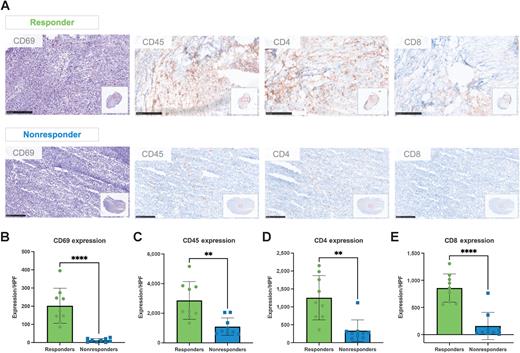 Using CD69 PET Imaging to Monitor Immunotherapy-Induced Immune ...