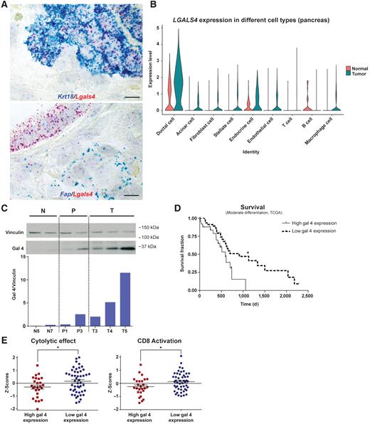 Extracellular Galectin 4 Drives Immune Evasion and Promotes T-cell ...