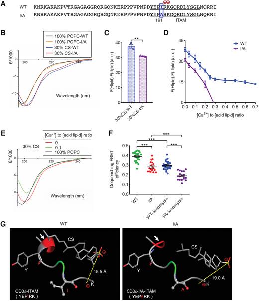 Enhancing the Antitumor Immunity of T Cells by Engineering the Lipid ...
