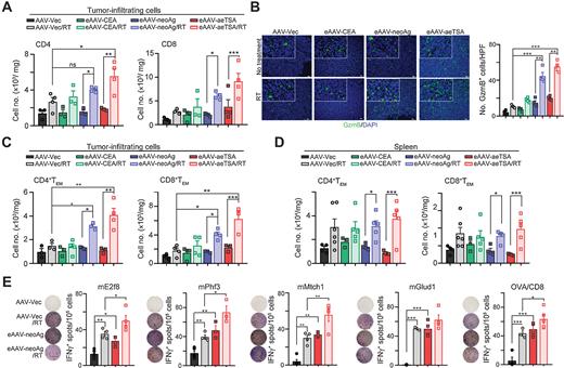 A Novel Engineered AAV-Based Neoantigen Vaccine in Combination with ...