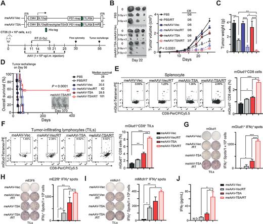 A Novel Engineered AAV-Based Neoantigen Vaccine in Combination with ...