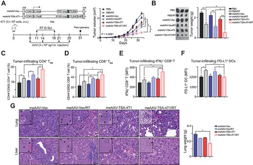 A Novel Engineered AAV-Based Neoantigen Vaccine in Combination with ...