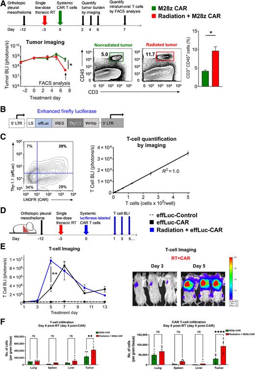 Tumor-Targeted Nonablative Radiation Promotes Solid Tumor CAR T-cell ...